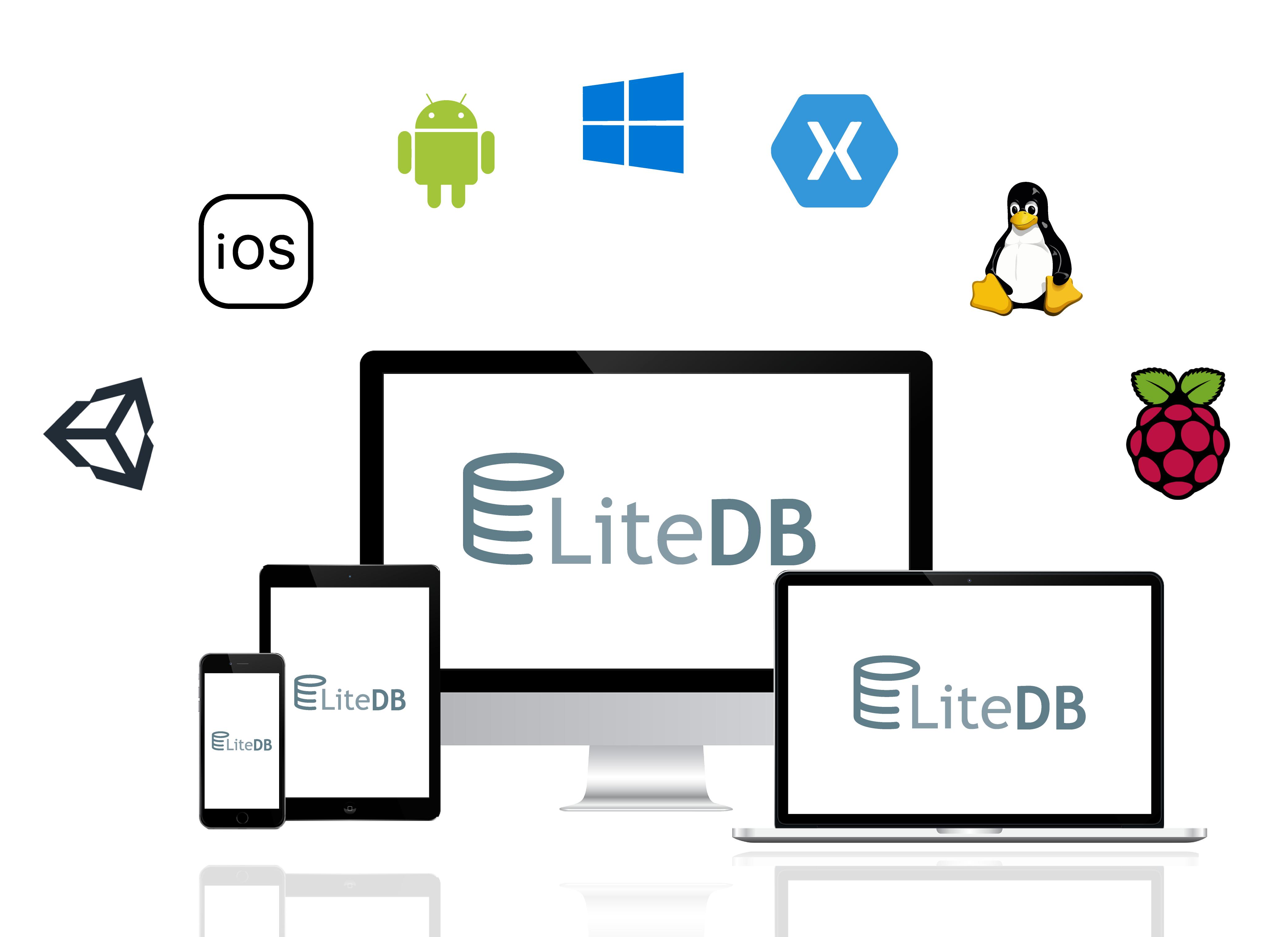 Implement Repository Pattern By Using LiteDB